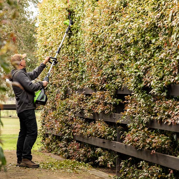 Tree hedge trimmer store