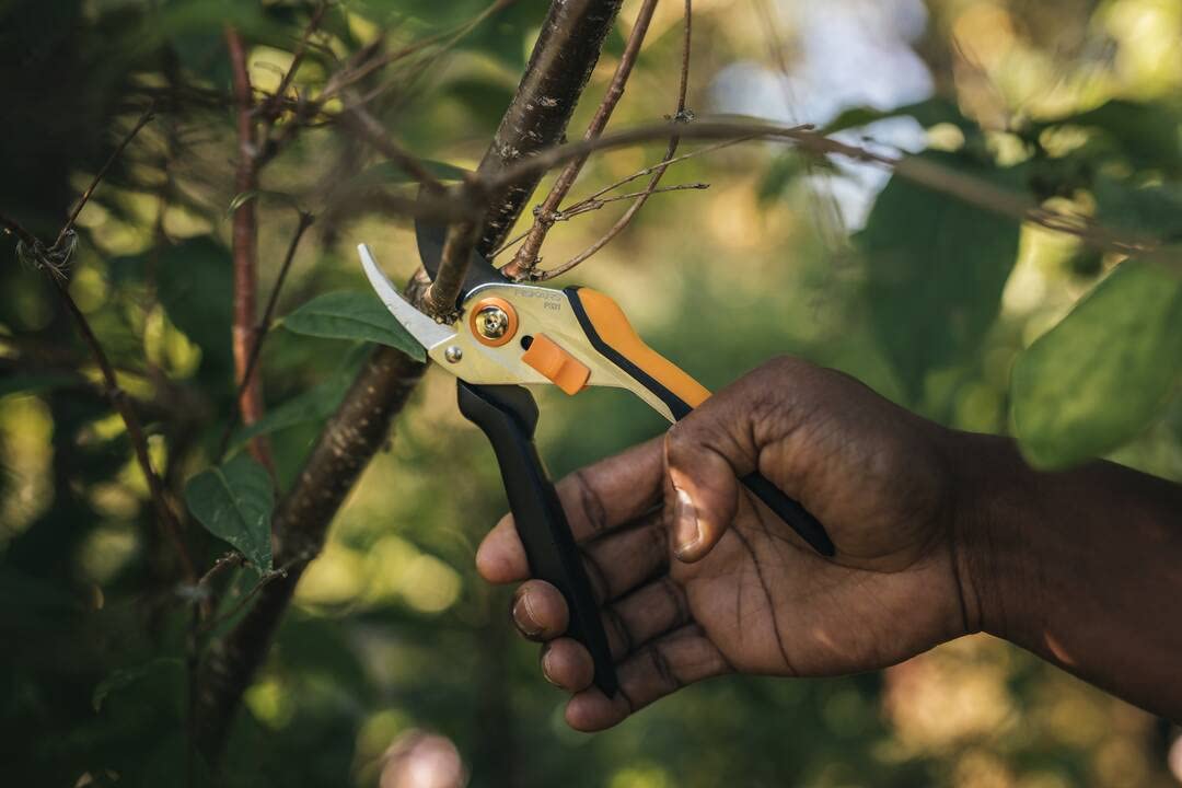 Fiskars P331 Solid Metal PNR Bypass 20mm Comfort Hand Garden Pruning S ...