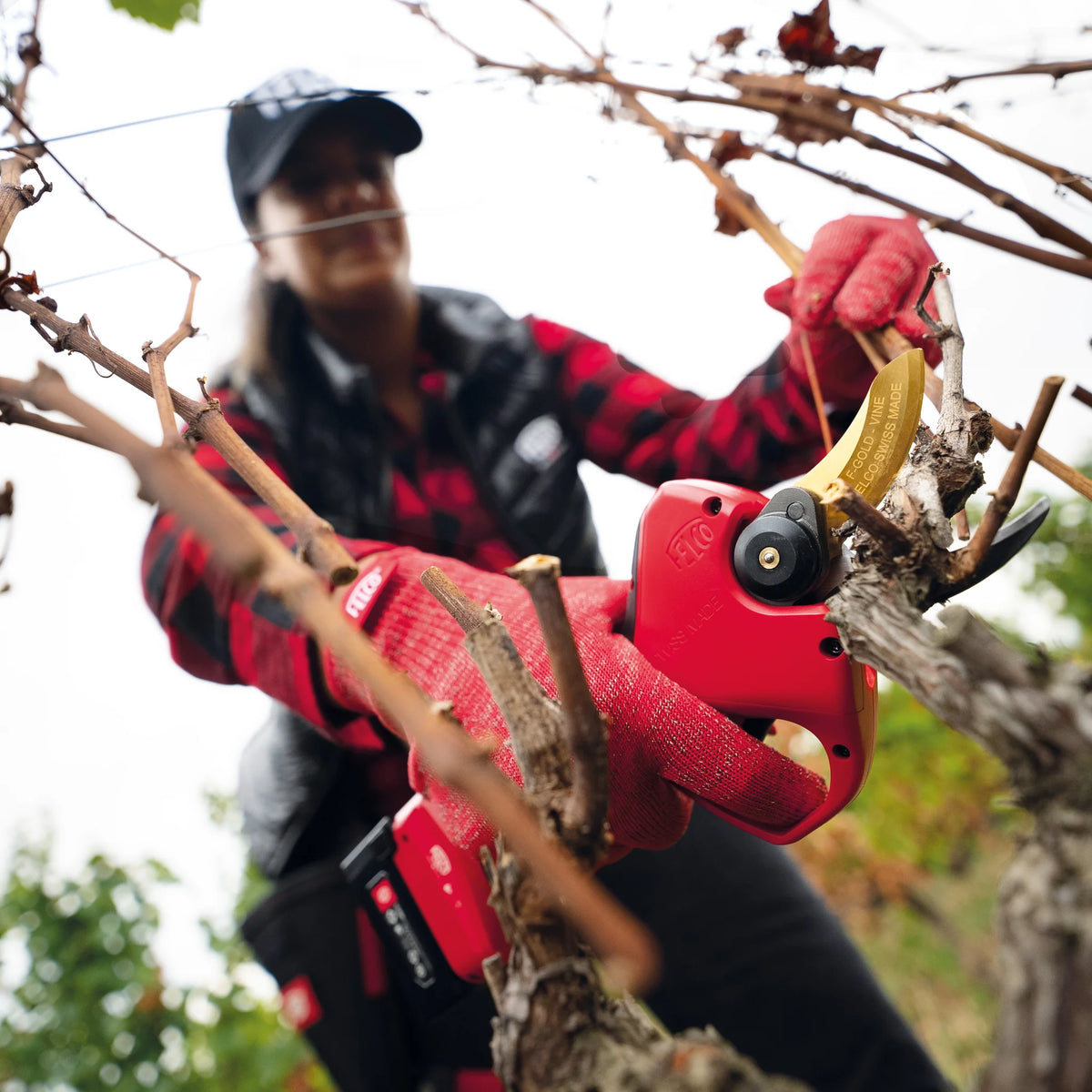 Felco 834V Electric Heavy-duty Vineyard Pruner Shear Secateurs Kit ...