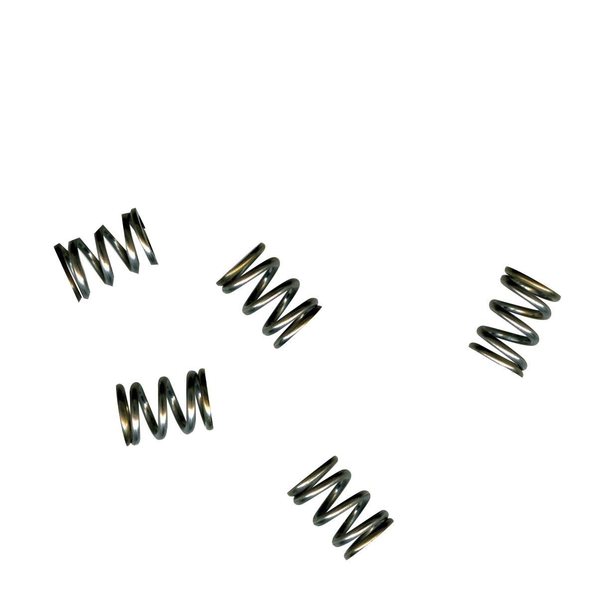 Walbro Compression Spring Set of (5) 98-160 – Power Mowers