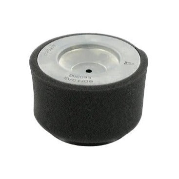 Kohler KD350 Lombardini Diesel Filter-A/C Cartridge ED0021752540-S ...
